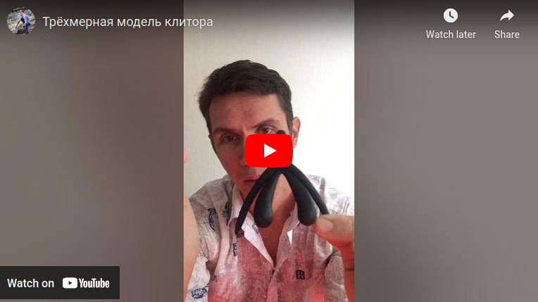Будова та розташування клітора